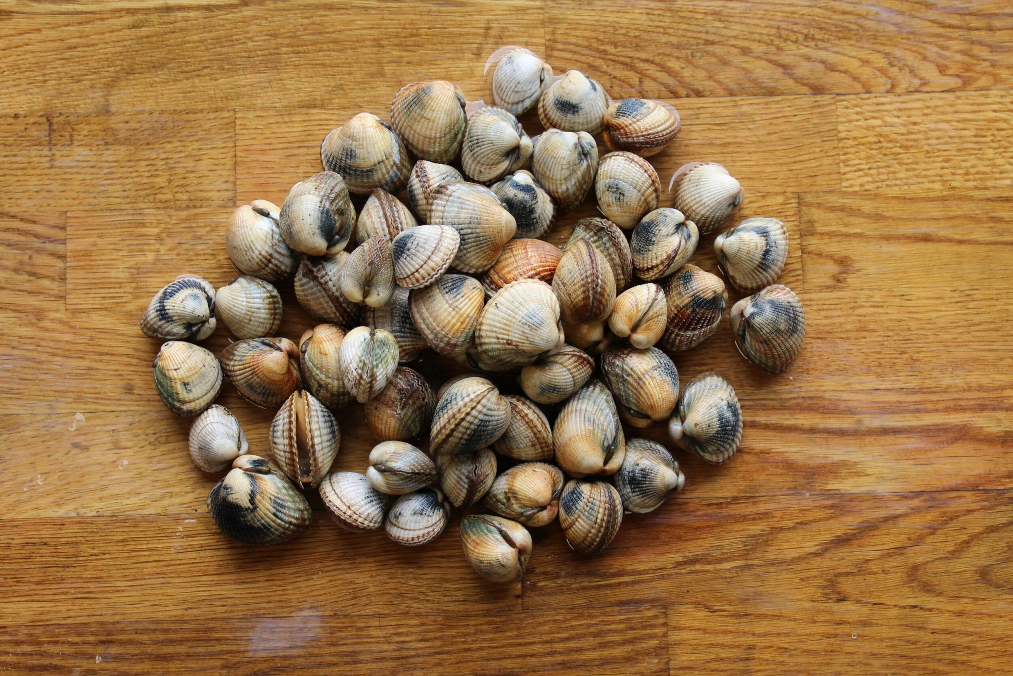 Cockles - Fresh Fish Online